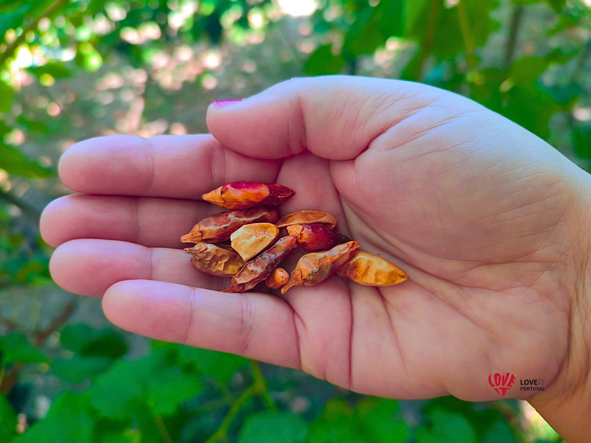 Portuguese Piri Piri: The Spicy Secret That Conquered the World ...